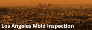 Los Angeles Mold Inspection - IR Environmental